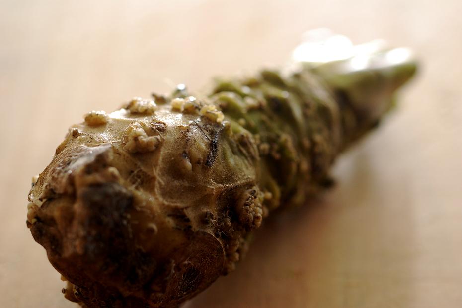 The Profound Attraction of Wasabi - Globalkitchen Japan