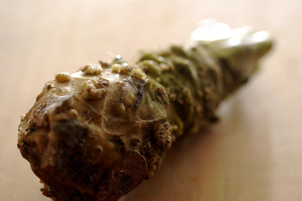 The Profound Attraction of Wasabi - Globalkitchen Japan