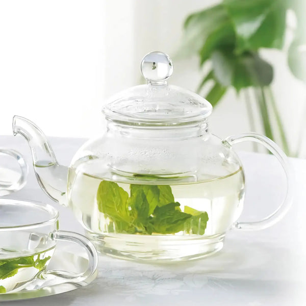 Asahi Heat Resistant Glass Teapot with Tea Strainer - Globalkitchen Japan
