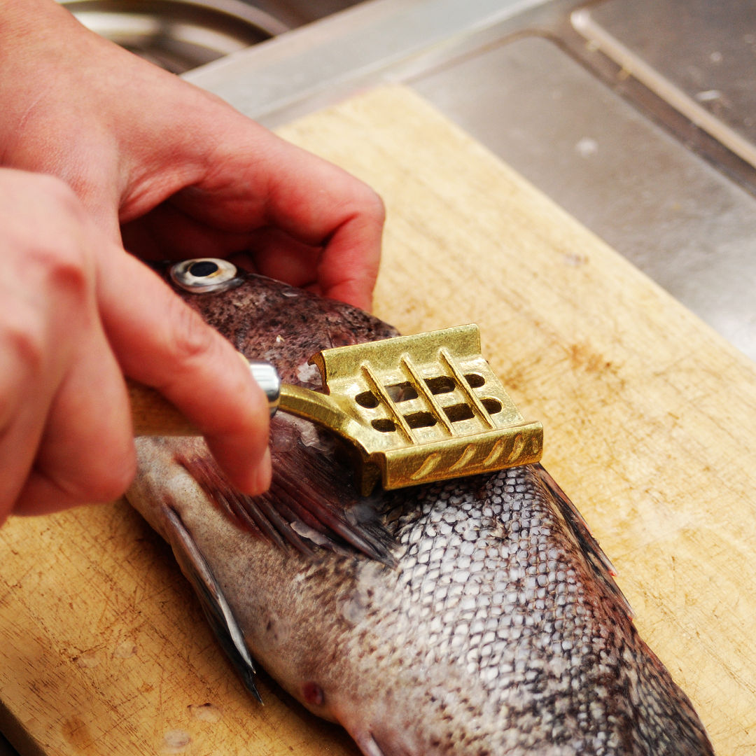 Hoshisan Brass Fish Scaler with Side Wings - Globalkitchen Japan